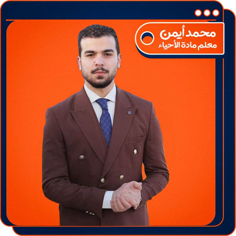 شِيك وُالِت - Shake Wallet