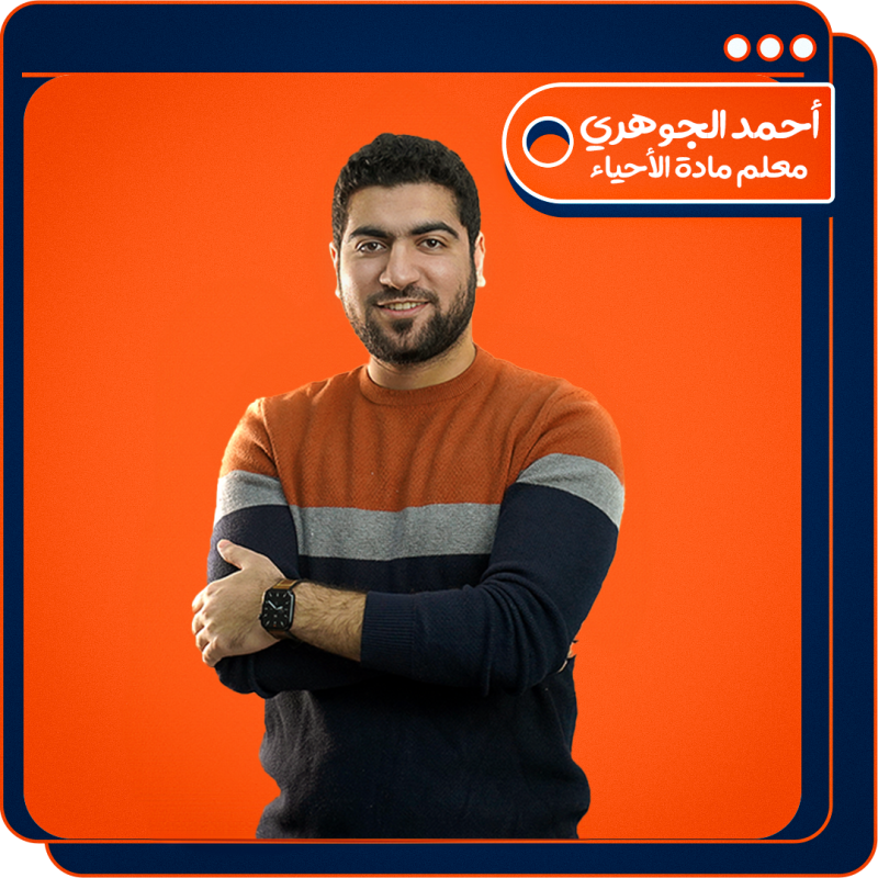 شِيك وُالِت - Shake Wallet